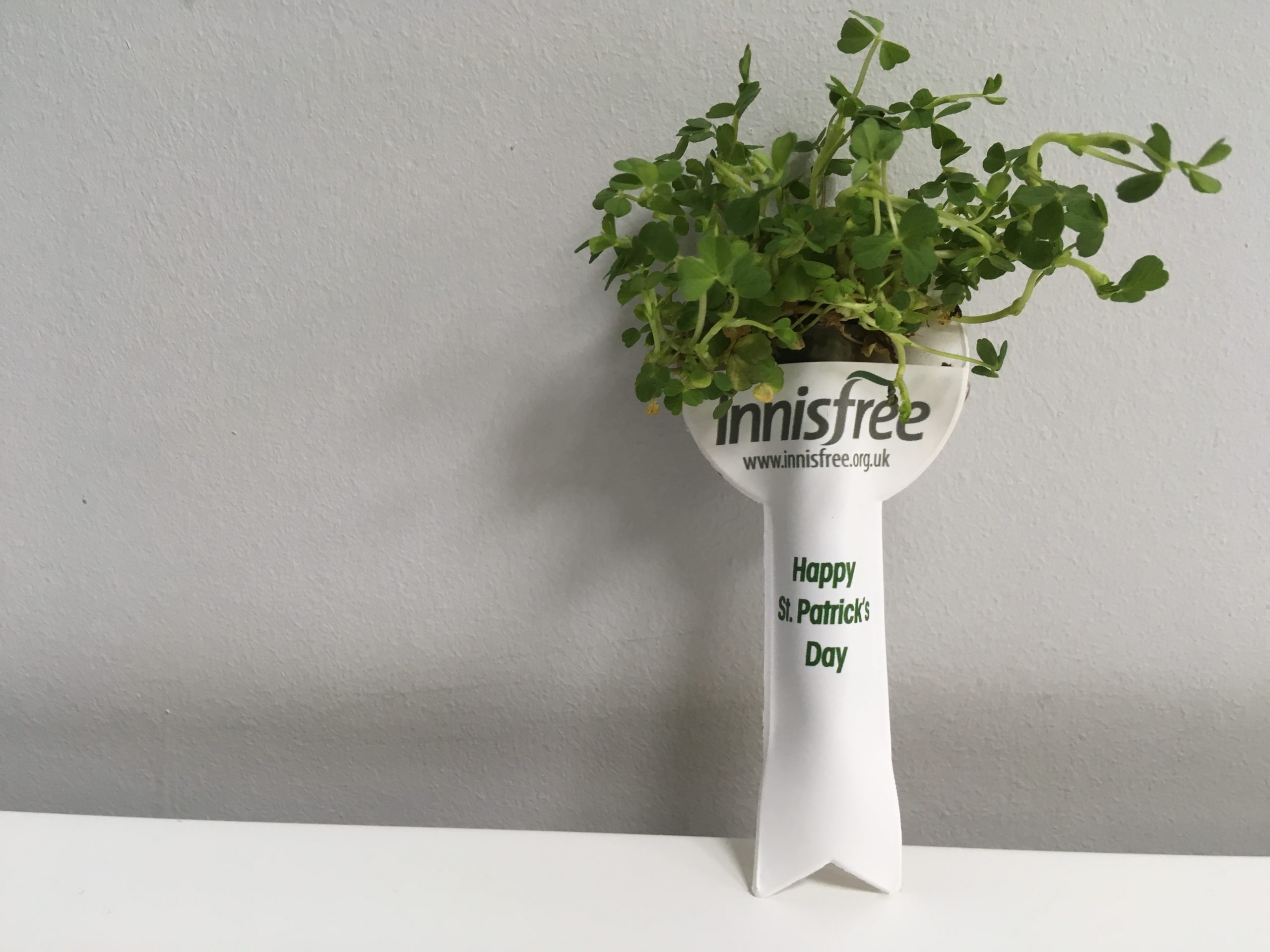 Innisfree milestones - Innisfree